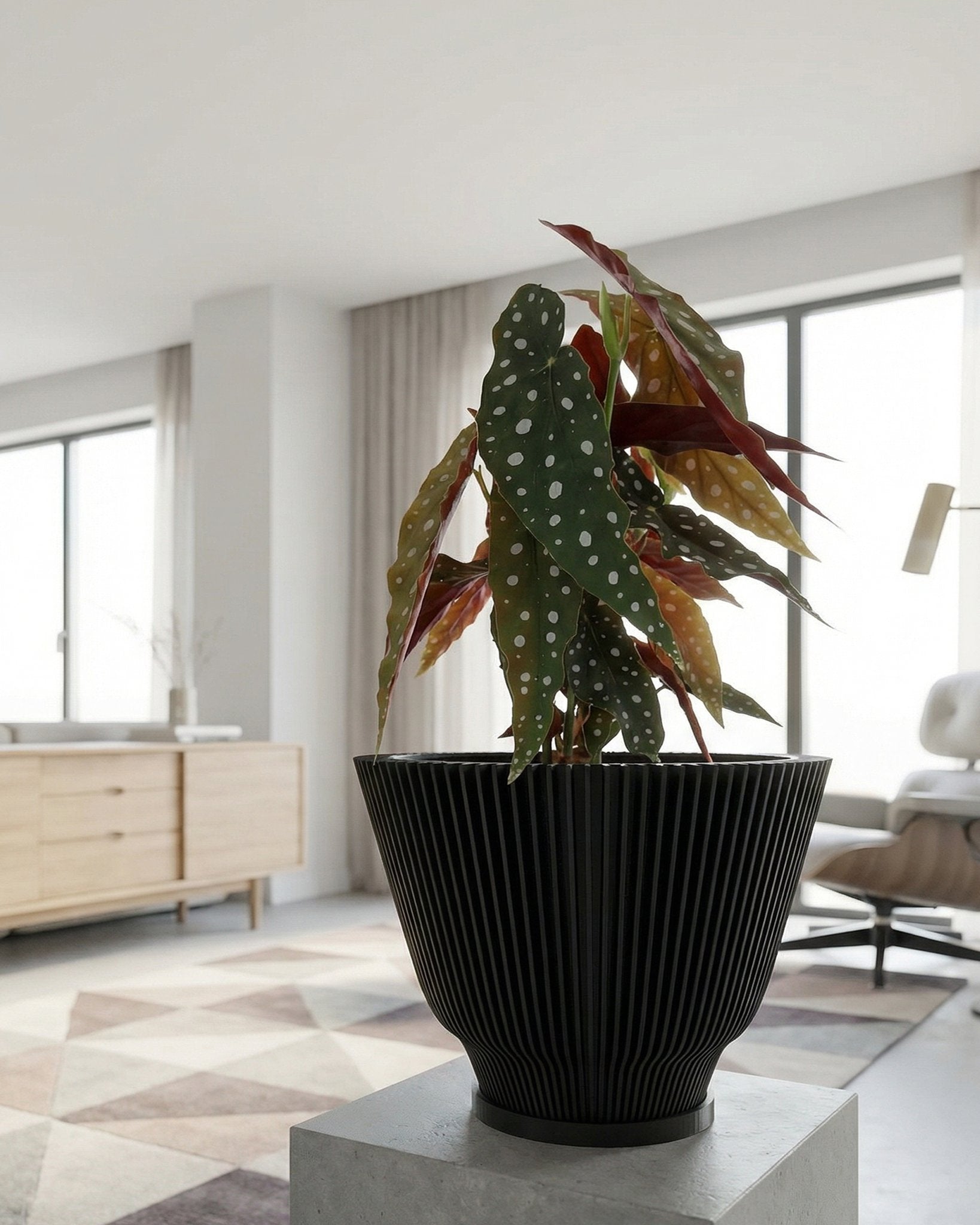 Planter Pot With Drainage, Saucer Included - Dawn – Tectle
